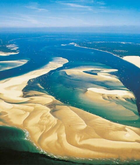 Banc d'Arguin, the pearl of the Arcachon Basin
